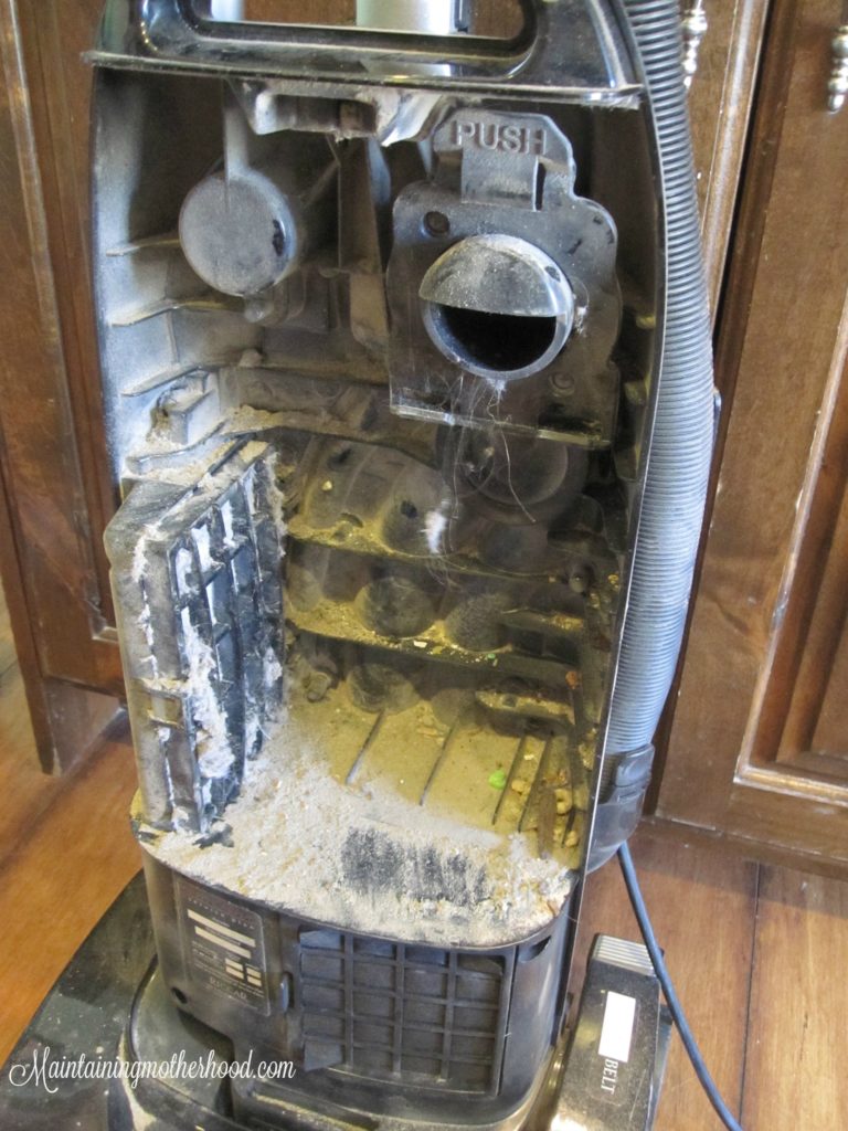 How To Deep Clean Your Vacuum – Maintaining Motherhood