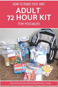 Essential DIY Adult 72 Hour Kit with Printable Checklists – Maintaining ...