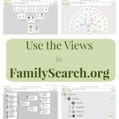 Attaching a Record Hint in FamilySearch – Maintaining Motherhood