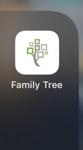 How to Use the Ordinances Ready Feature – Maintaining Motherhood